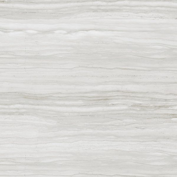 grigio treviso - INDOGRESS Granite Tile